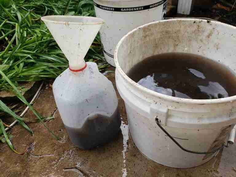 5 DIY Lawn Fertilizer Recipes that Actually Work - Mowing Magic