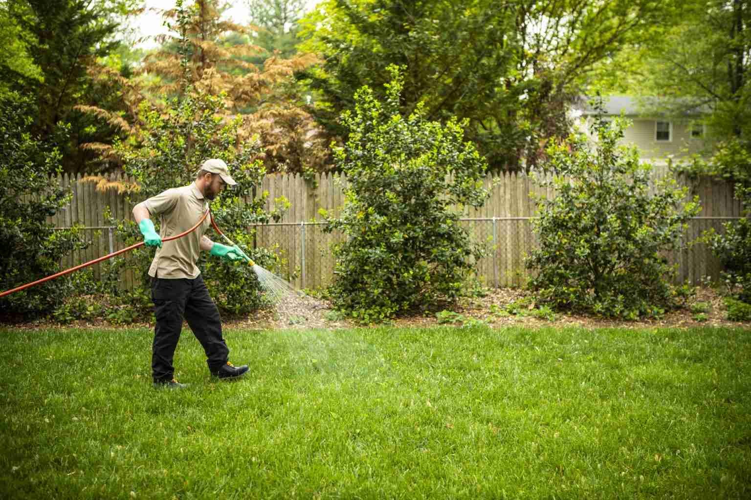 5 DIY Lawn Fertilizer Recipes that Actually Work - Mowing Magic